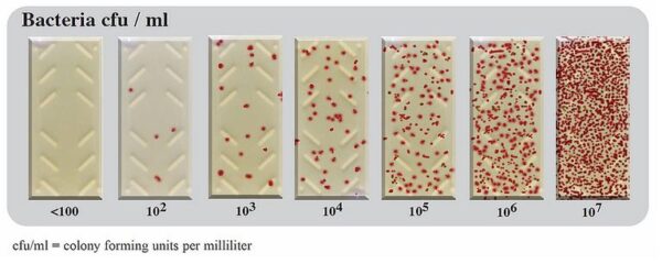 Dipslides (box of 10) for total bacteria count (TVC) with red spot dye ...